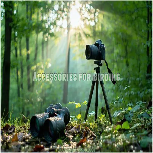 Affordable Bird Watching Camera Recommendations for Stunning Photos 2025