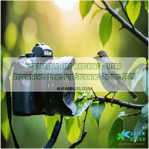 Affordable Bird Watching Camera Recommendations for Stunning Photos 2025