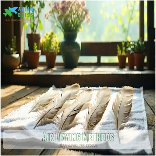 Bird Feather Cleaning Tips: 15 Pro Secrets for Perfect Results (2025 Guide)