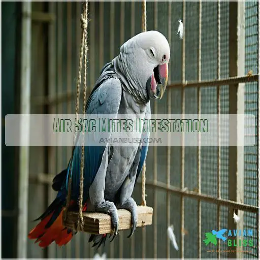 Common Bird Illness in Parrots: Symptoms, Causes, and Treatments