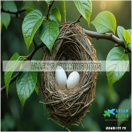 When is Nesting Season for Hummingbirds? Key Facts You Need to Know