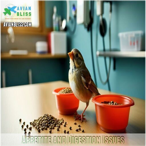 Signs of Bird Head Trauma: 12 Critical Warning Signs You Can't Ignore