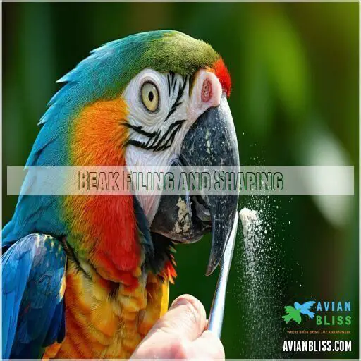 Parrot Beak Care Tips: Fix Overgrowth Fast