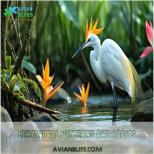 Rare Bird Characteristics Explained: Traits, Habitat, and Conservation