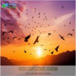 Bird Migration Tracking Methods: Modern Tools and Conservation Insights