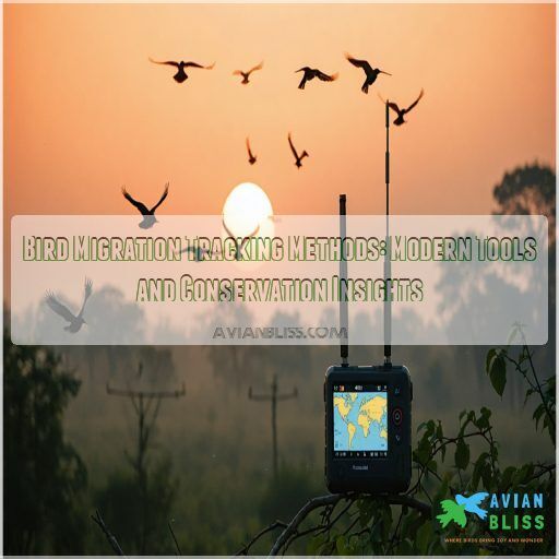 Bird Migration Tracking Methods: Modern Tools and Conservation Insights