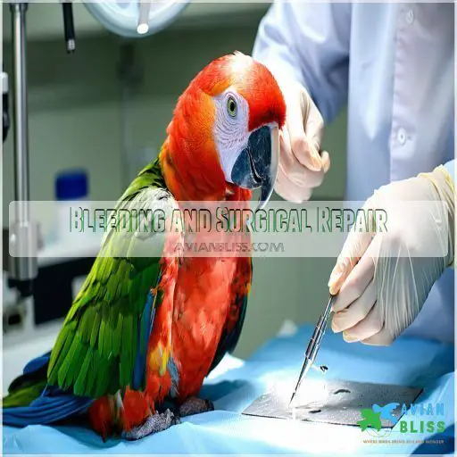 Common Beak Problems in Birds: Causes, Signs, and Prevention Tips