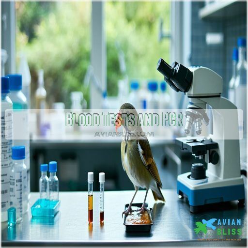 Bird Beak Infection Symptoms: Causes, Signs, and How to Treat Them