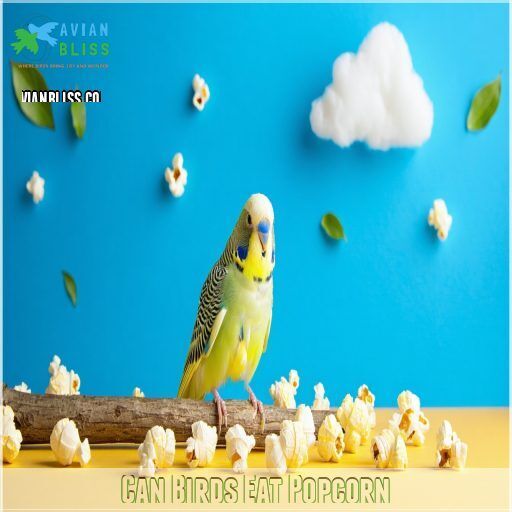 Can Birds Eat Popcorn? Safe Snacking Tips for Your Feathered Friends