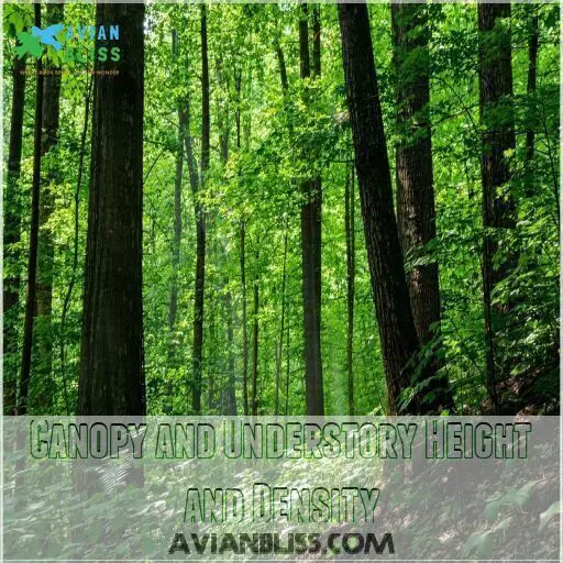 Bird Watching Forest Habitats: Top 10 Secret Spots Experts Don't Want ...