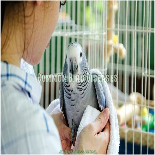 Recognizing Bird Health Problems: Warning Signs Every Owner Should Know
