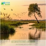 Migratory Bird Species List: Protected Birds & Conservation Facts