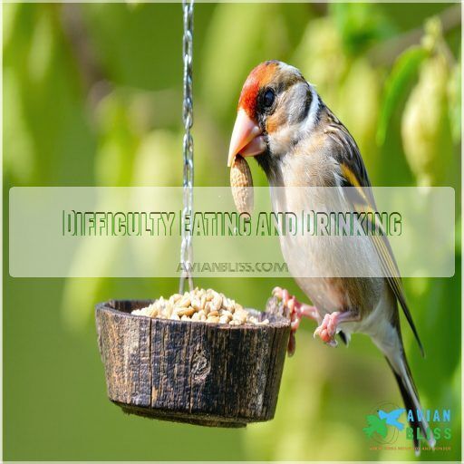 Bird Beak Infection Symptoms: Causes, Signs, and How to Treat Them