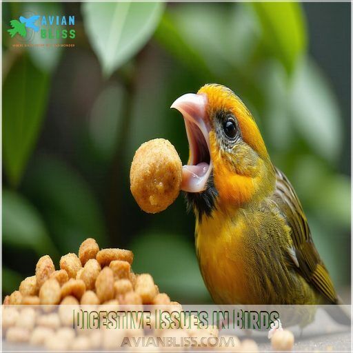 Can Birds Eat Dry Dog Food? Risks, Benefits, and Better Alternatives