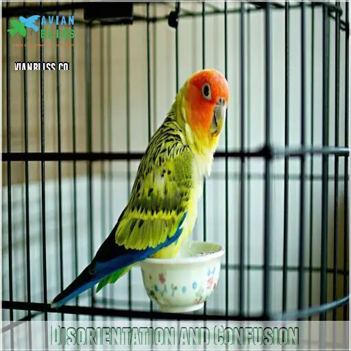 Signs of Bird Head Trauma: 12 Critical Warning Signs You Can't Ignore