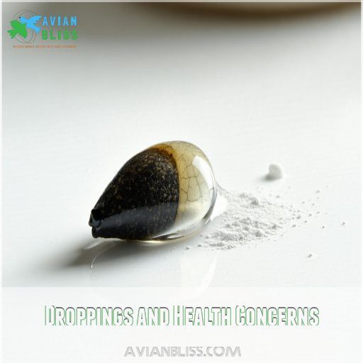 Signs of Illness in Pet Birds: Feather, Eye, and Dropping Clues