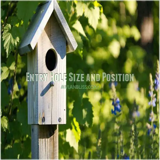 Bluebird House Dimensions for Perfect Nesting