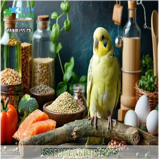 Best Feather Care Tips Pet Bird Owners Need for Healthy, Shiny Feathers