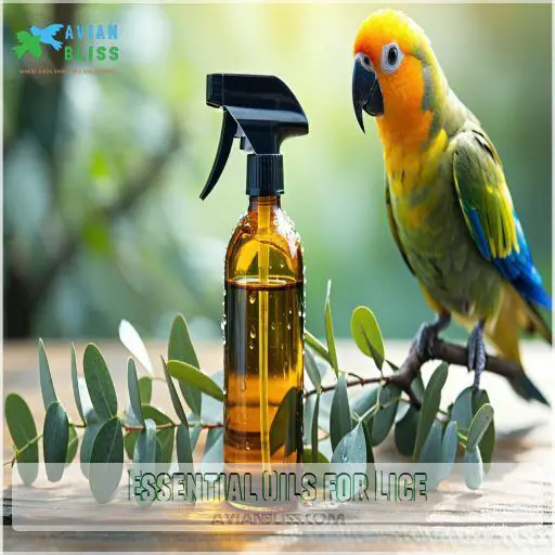 Natural Bird Lice Treatment: 5 Fast Home Remedies That Really Work in 2025