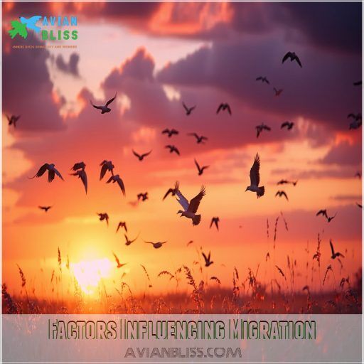 Understanding Bird Seasonal Movements: Patterns, Causes, and Navigation