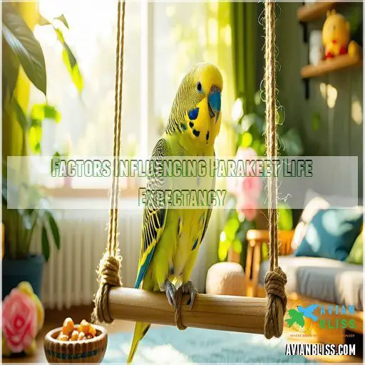 How Long Do Parakeets Live on Average? Lifespan Facts for Pet Owners