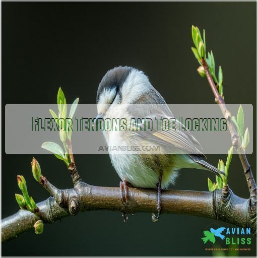 Do Birds Sleep Standing Up? Learn Their Amazing Sleep Adaptations!