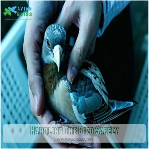 Signs of Bird Head Trauma: 12 Critical Warning Signs You Can't Ignore