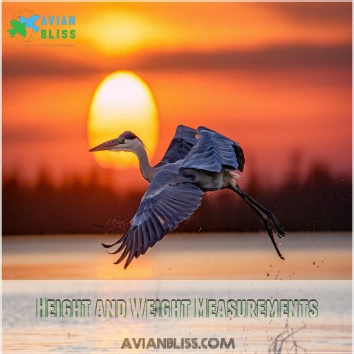 Great Blue Heron Facts: Diet, Habitat, Behavior, and Conservation