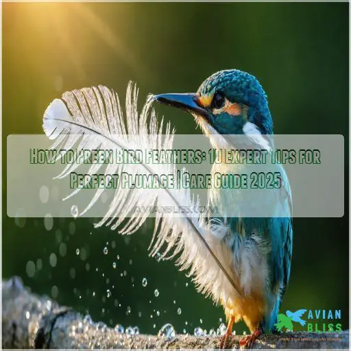 How to Preen Bird Feathers: 10 Expert Tips for Perfect Plumage | Care ...
