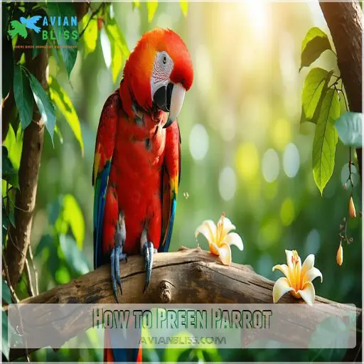 How to Preen Parrot Feathers Properly Now