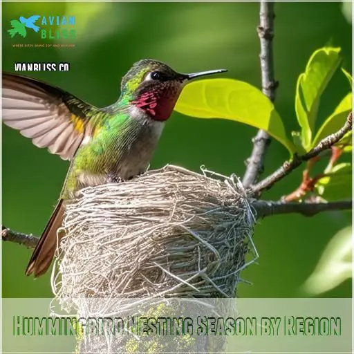 When is Nesting Season for Hummingbirds? Key Facts You Need to Know
