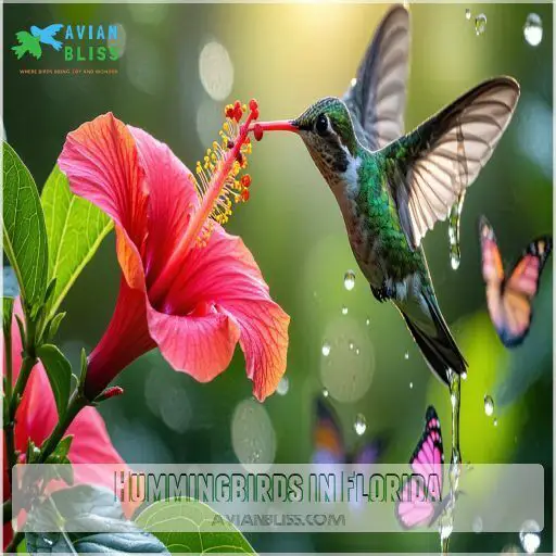Hummingbirds of Florida: 6 Stunning Species to Spot and Attract