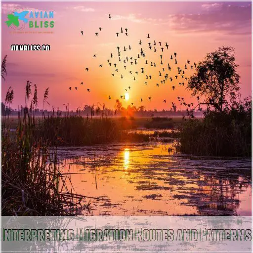 Bird Migration Tracking Methods: Modern Tools and Conservation Insights