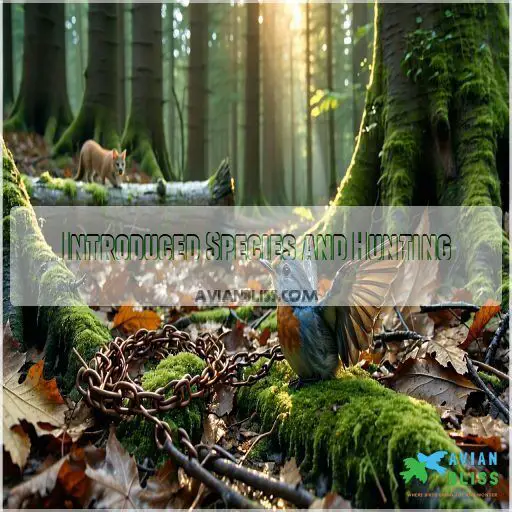 Bird Species Preservation: Saving Habitats to Protect Their Future