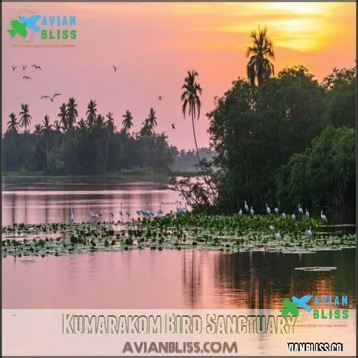 Top Bird Sanctuaries Worldwide: Hidden Gems