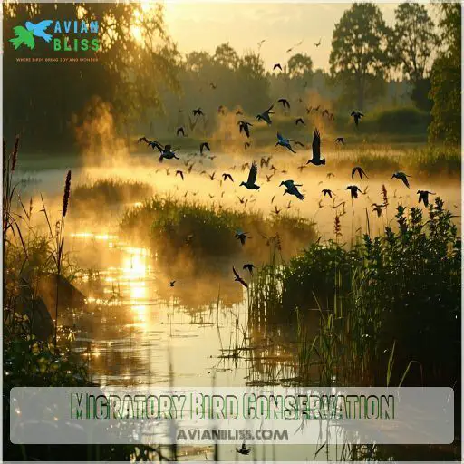 Bird Migration Habitat Conservation: Protecting Species and Vital Stopovers