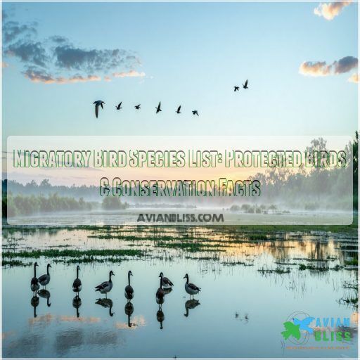 Migratory Bird Species List: Protected Birds & Conservation Facts