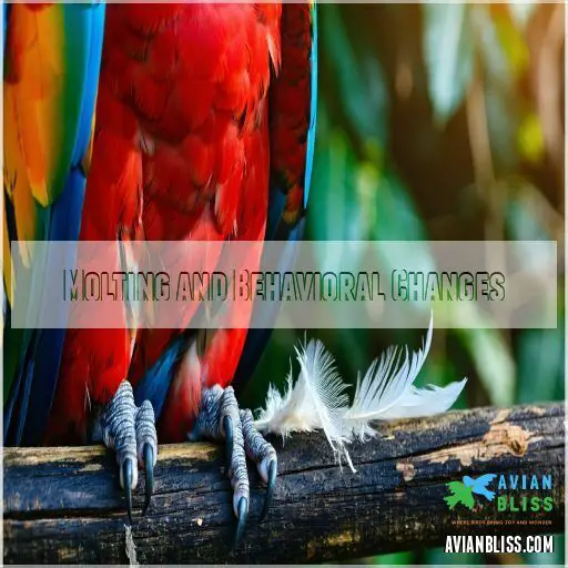 Molting Bird Feather Care Guide: Symptoms, Tips, and Nutrition Advice
