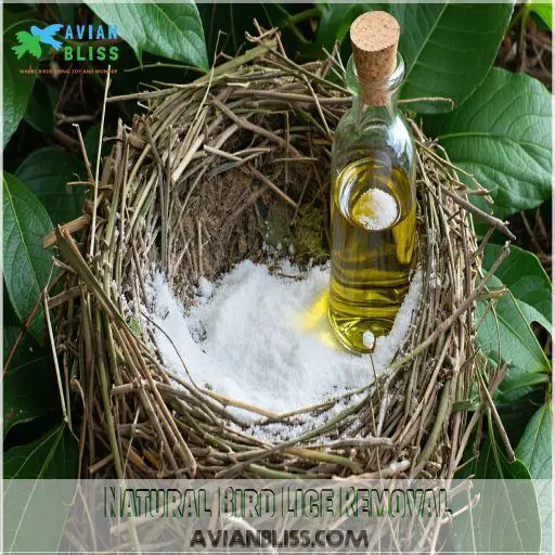 Natural Bird Lice Treatment: 5 Fast Home Remedies That Really Work in 2025