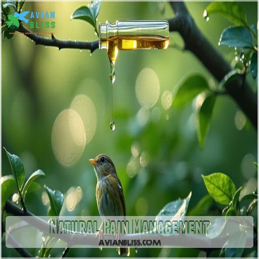 Natural Bird Wellness Remedies: 7 Proven Ways to Heal Your Feathered Friend