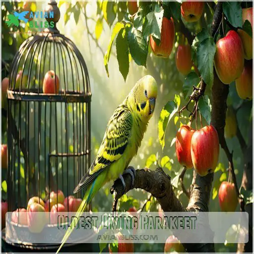 How Long Do Parakeets Live on Average? Lifespan Facts for Pet Owners