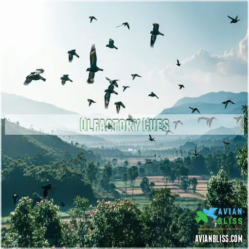 Understanding Bird Seasonal Movements: Patterns, Causes, and Navigation