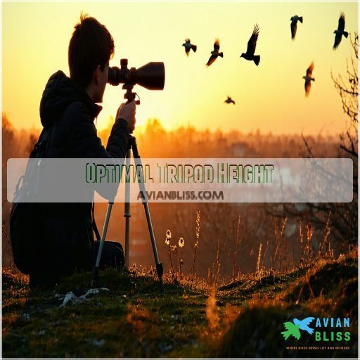 Bird Watching Spotting Scope Tripod Setup: Tips for Stability & Viewing
