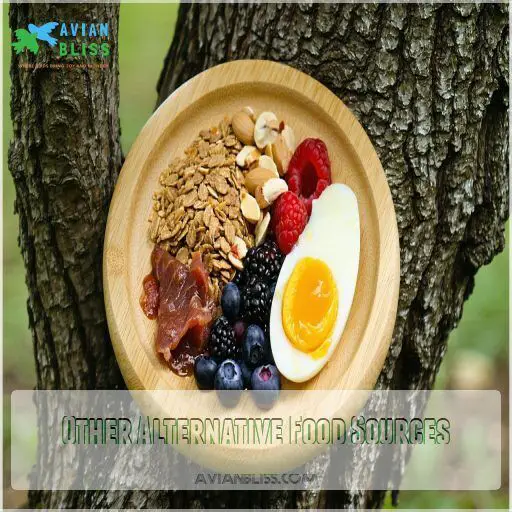 What Do Baby Woodpeckers Eat? Diet, Care, and Feeding Tips Explained