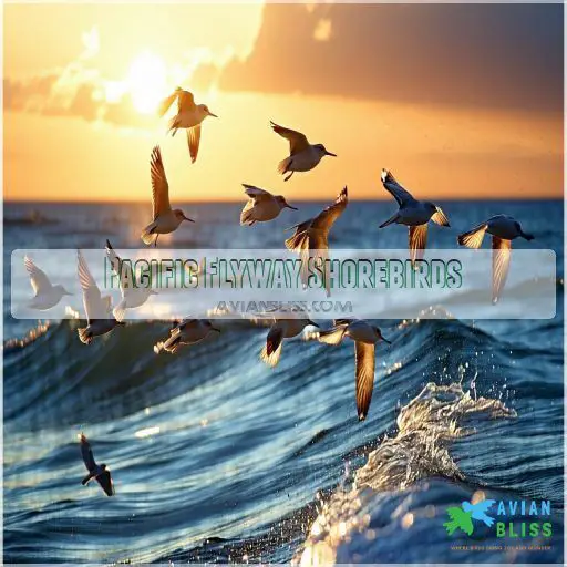 Best Bird Migration Routes: Flyways, Conservation, and Migration Patterns