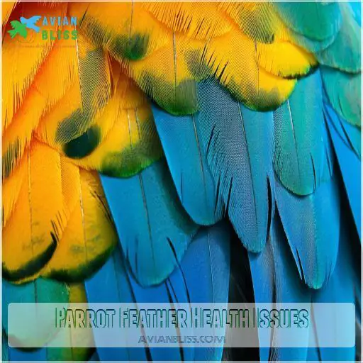 Parrot Feather Health Advice: Causes, Solutions, and Essential Tips