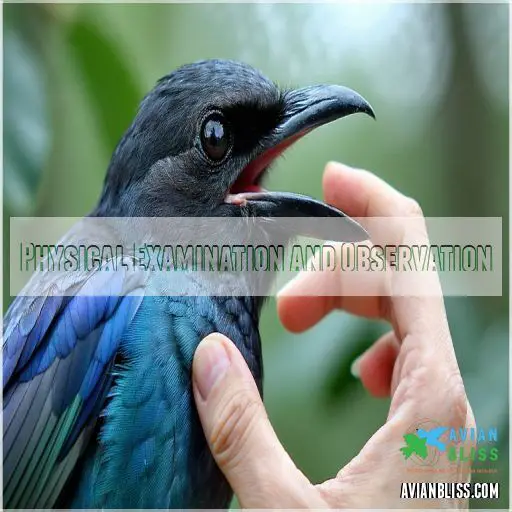 Bird Beak Infection Symptoms: Causes, Signs, and How to Treat Them