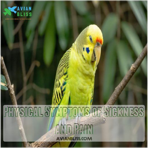 Recognizing Bird Health Problems: Warning Signs Every Owner Should Know