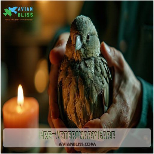 Healing Bird Head Trauma: Signs, Causes, and Must-Know Care Tips