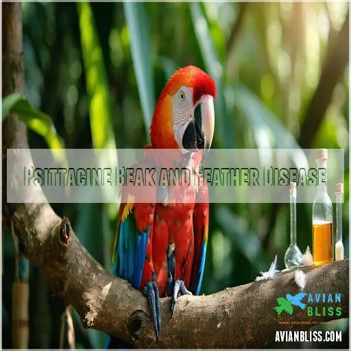 Common Beak Problems in Birds: Causes, Signs, and Prevention Tips